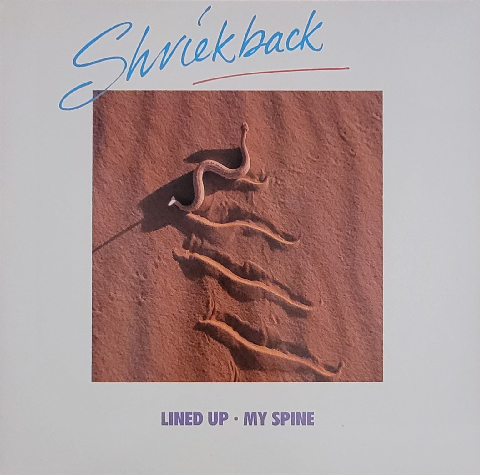 Shreikback - Lined Up / My Spine 12" Single – museum vinyl